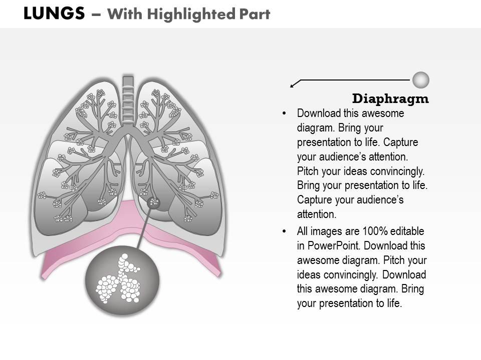 Top 10 Lung Anatomy PowerPoint Presentation Templates in 2026
