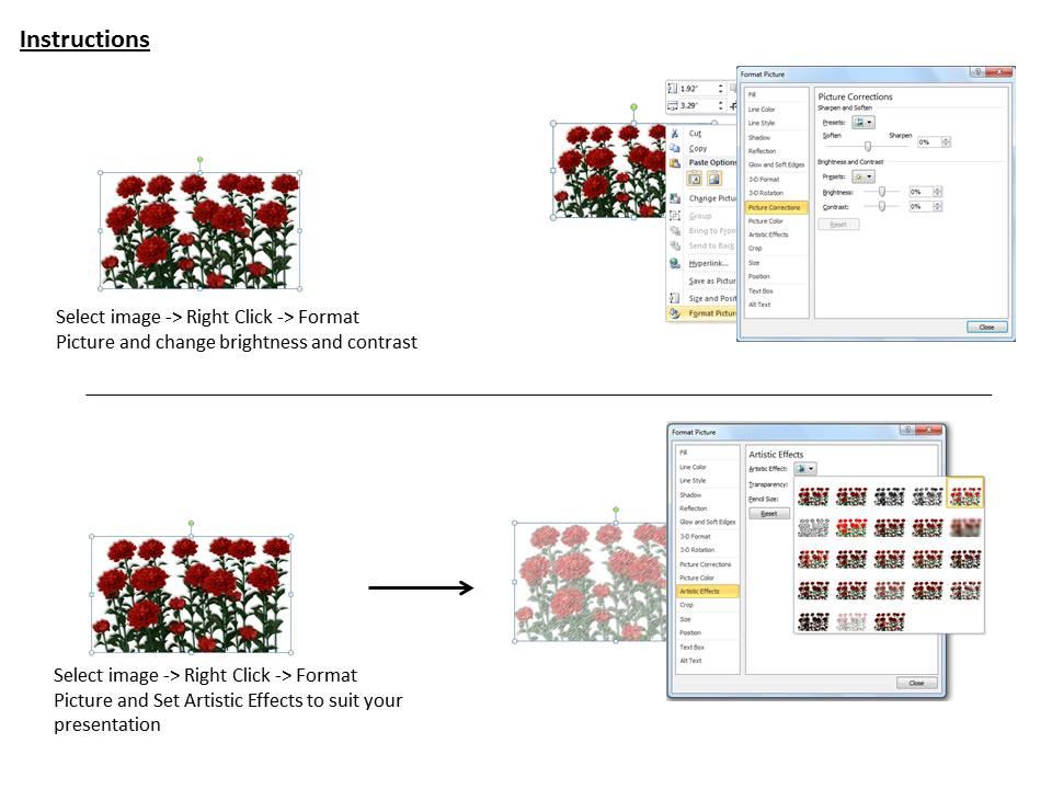 Top 10 Red Rose PowerPoint Presentation Templates in 2026