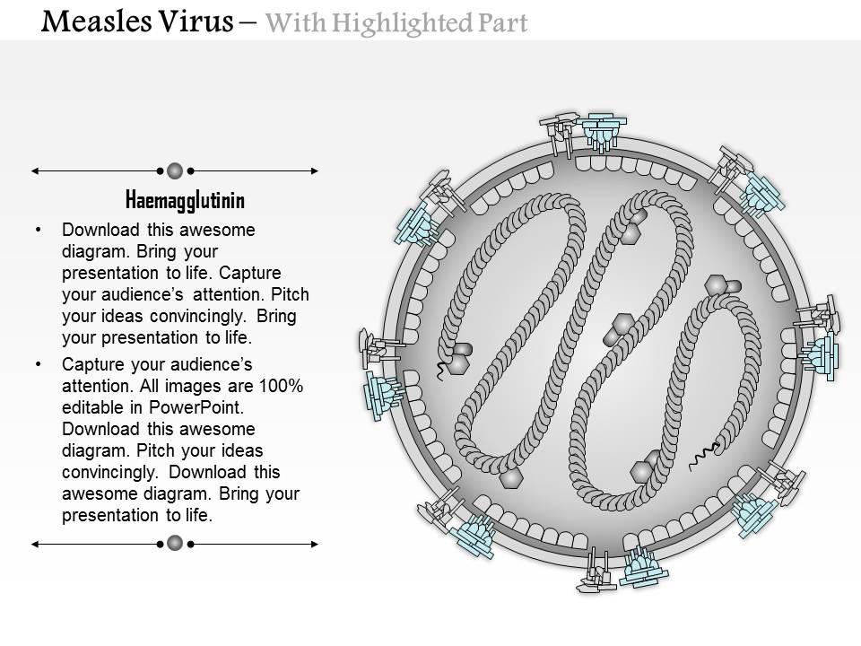 Top 10 Measles PowerPoint Presentation Templates in 2025 Top 10 Measles PowerPoint Presentation Templates in 2025