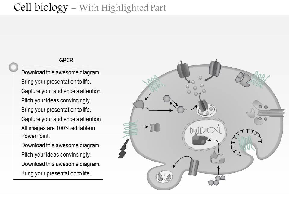 Top 10 Cell Biology PowerPoint Presentation Templates in 2026