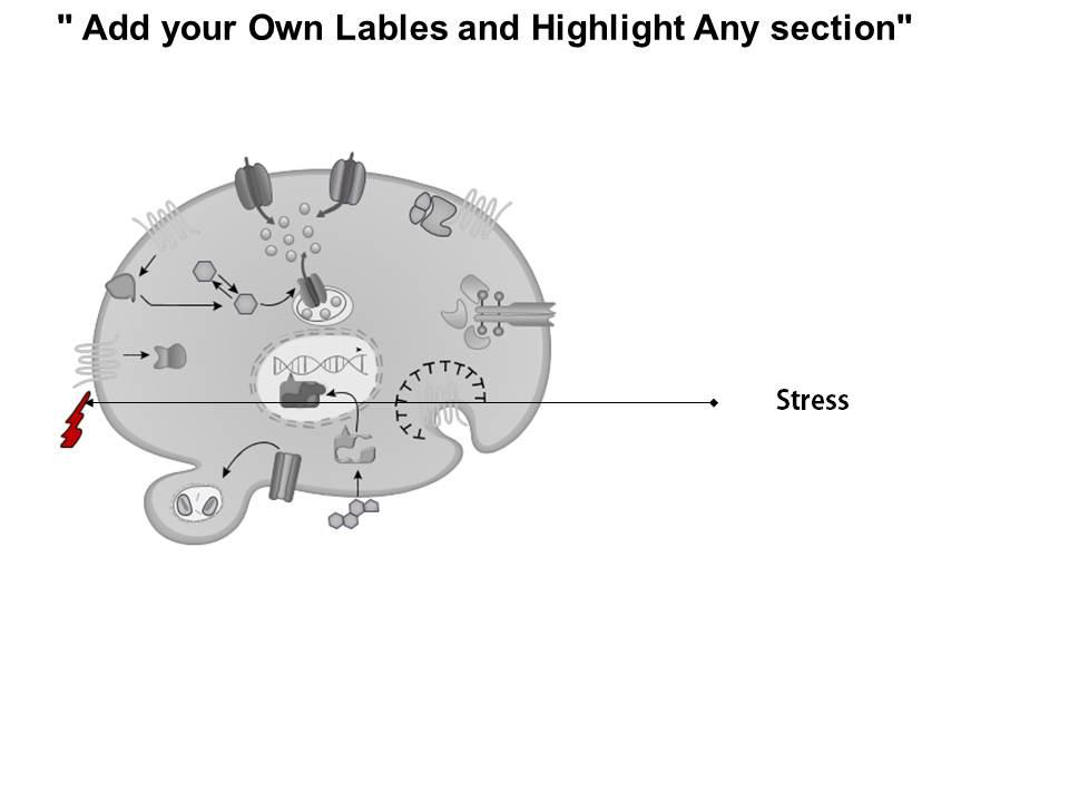 Top 10 Cell Biology PowerPoint Presentation Templates in 2026