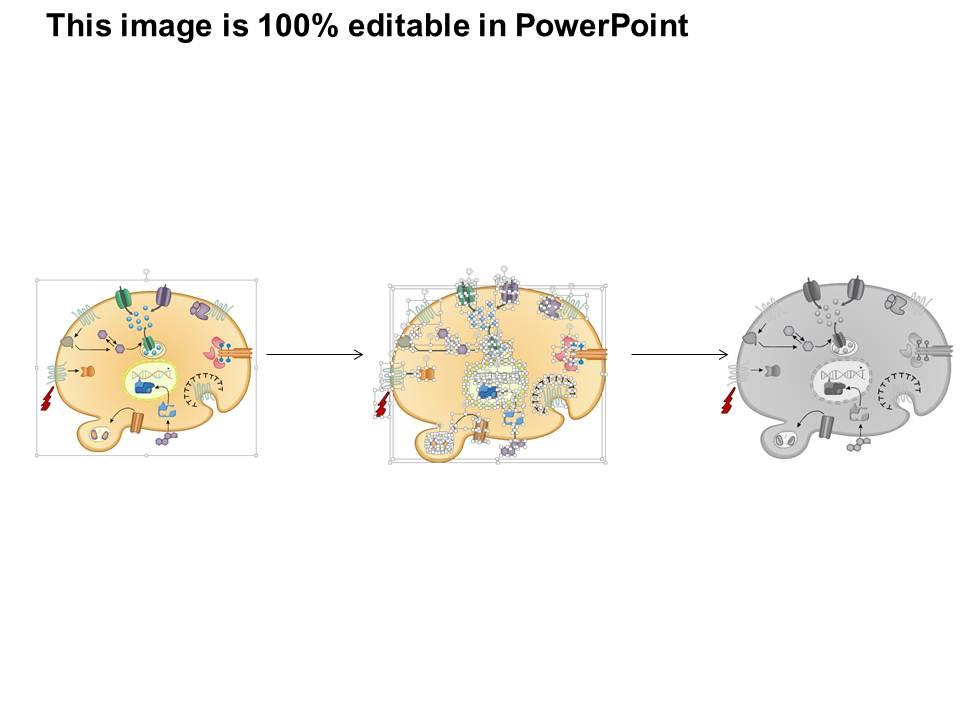 Top 10 Cell Biology PowerPoint Presentation Templates in 2026