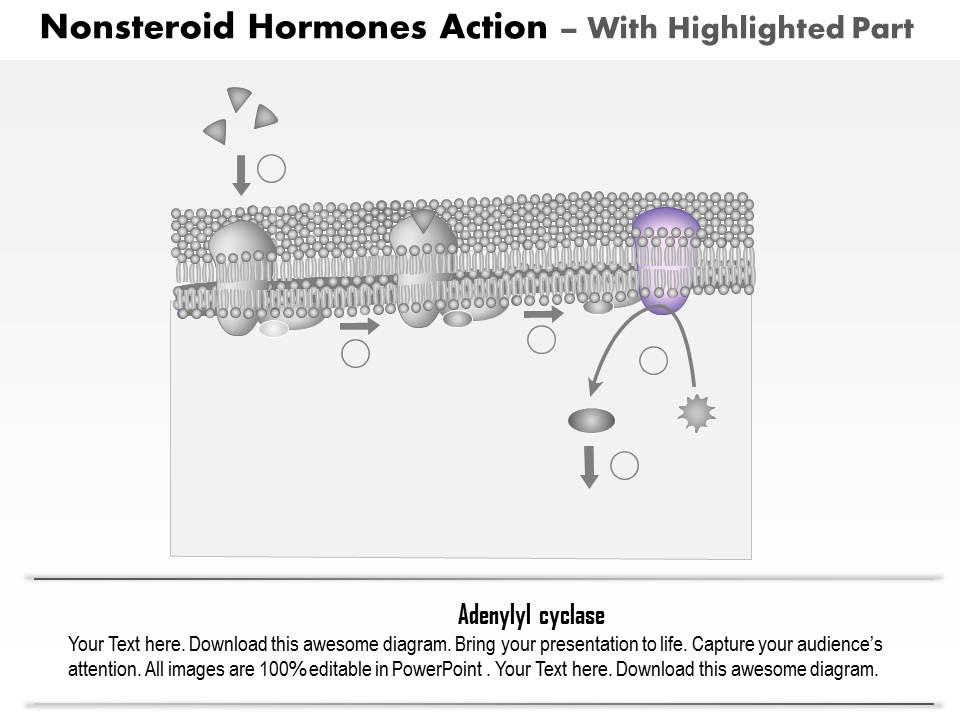 0814 Nonsteroid Hormones Action Medical Images For PowerPoint ...