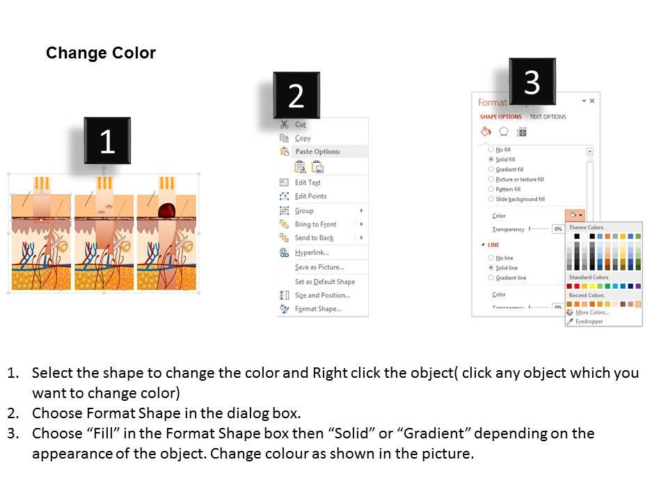 Top 10 Skin PowerPoint Presentation Templates in 2026