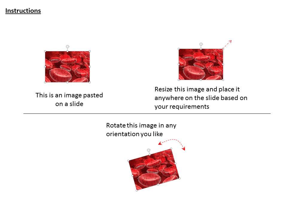 Top 10 Human Cell PowerPoint Presentation Templates in 2026