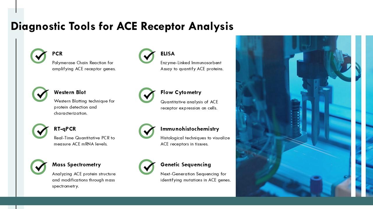 Top 10 Ace PowerPoint Presentation Templates in 2026
