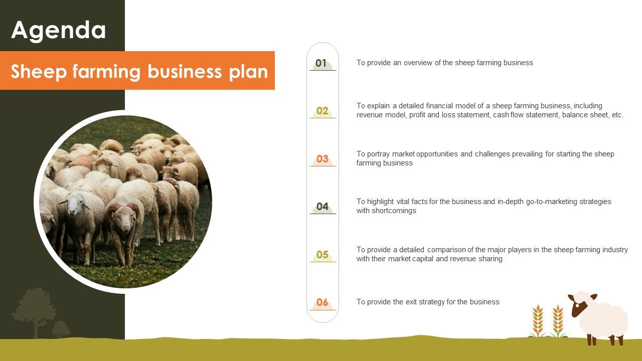 Agenda Business Plan Sheep Farming Business Plan Sheep Farming BP SS ...