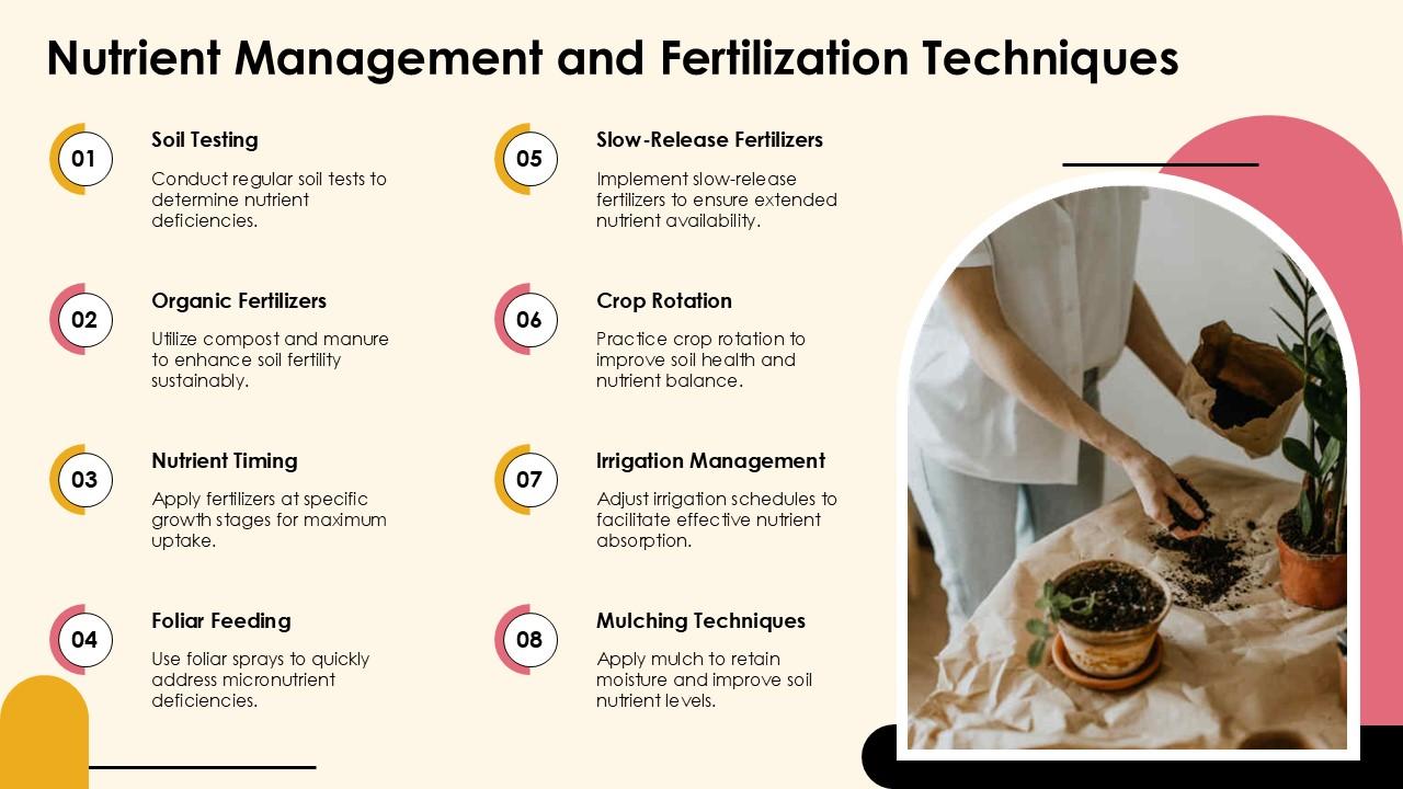Top 10 Nursery PowerPoint Presentation Templates in 2026