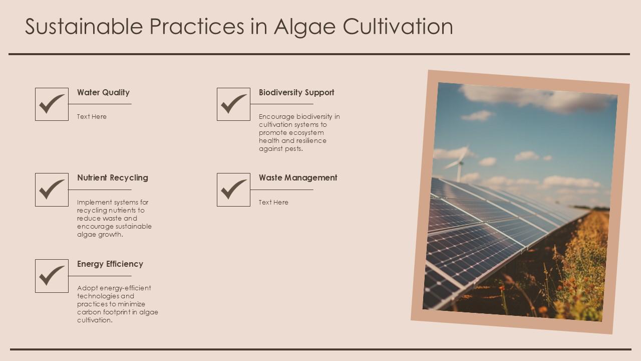 Algaculture Algae Farming Sustst Ainable Practices Ppt Examplest ST AI ...