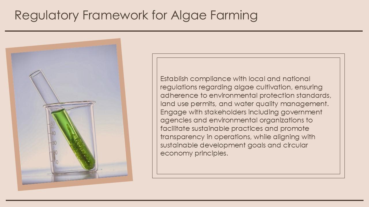 Algaculture Algae Farming Sustst Ainable Practices Ppt Examplest ST AI ...