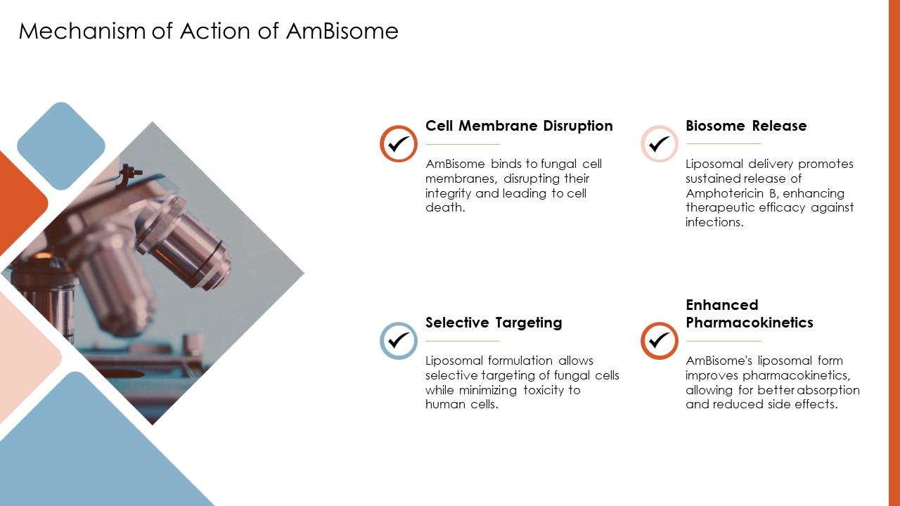 Ambisome Essential Insights On Liposomal Amphotericin B PPT Example ST ...