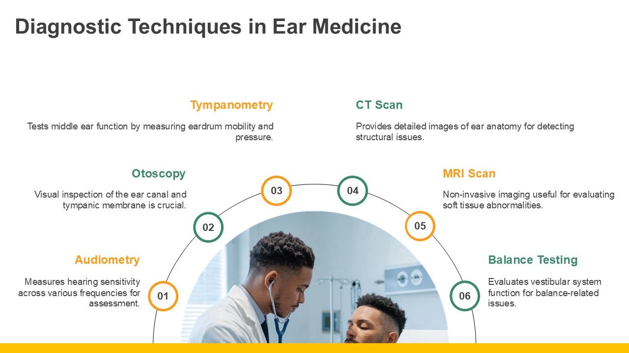 Anatomy Of The Human Ear In Medicine PPT Designs AT