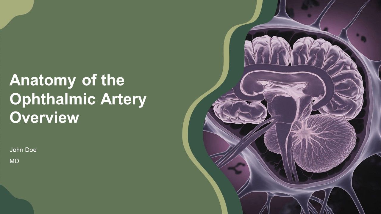 Anatomy Of The Ophthalmic Artery Overview PPT Designs AT