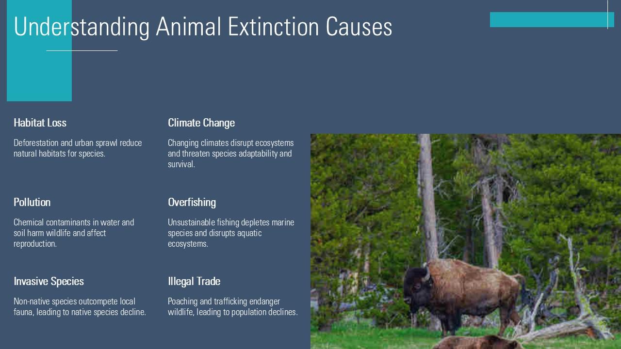 Animal Extinction PPT Information ACP PPT Slide