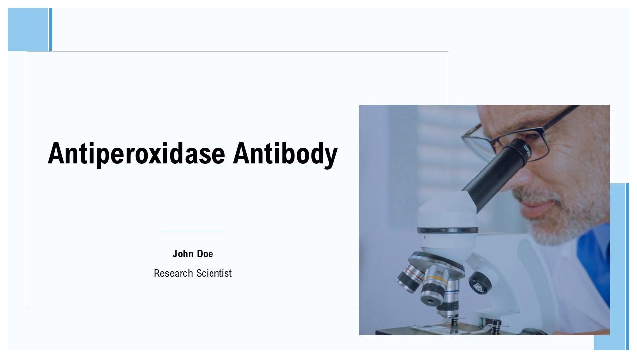 Antiperoxidase Antibody Ppt Mockup Acp Ppt Sample