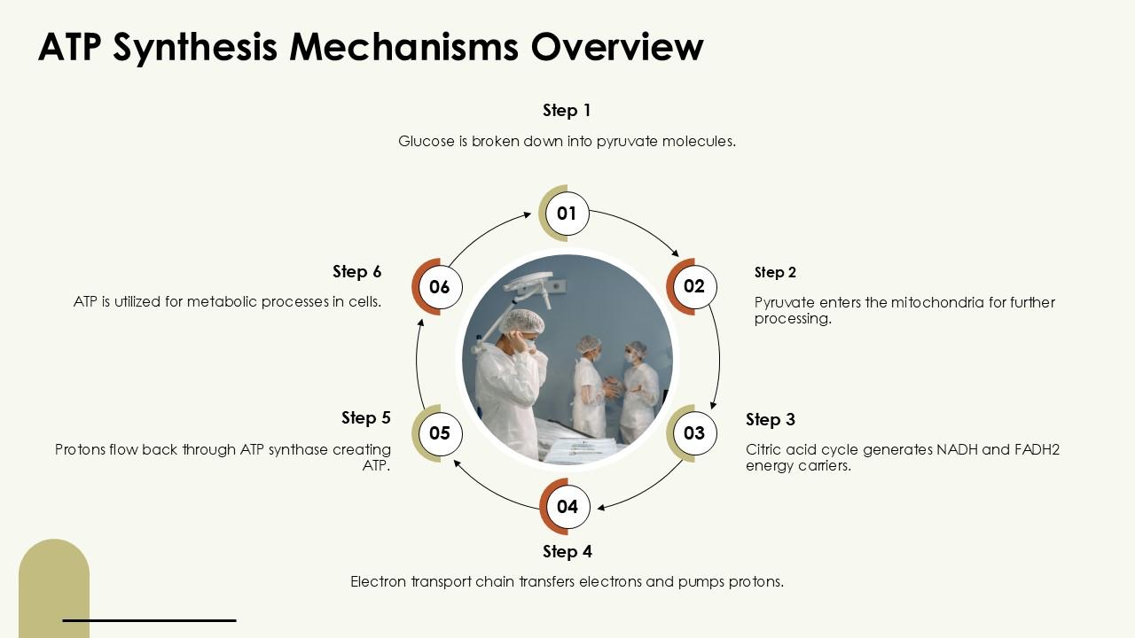Atp Enzyme Ppt Template Acp Ppt Slide