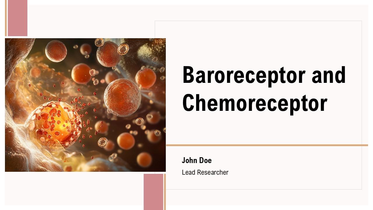 Baroreceptor And Chemoreceptor PPT Guidelines ACP PPT Presentation