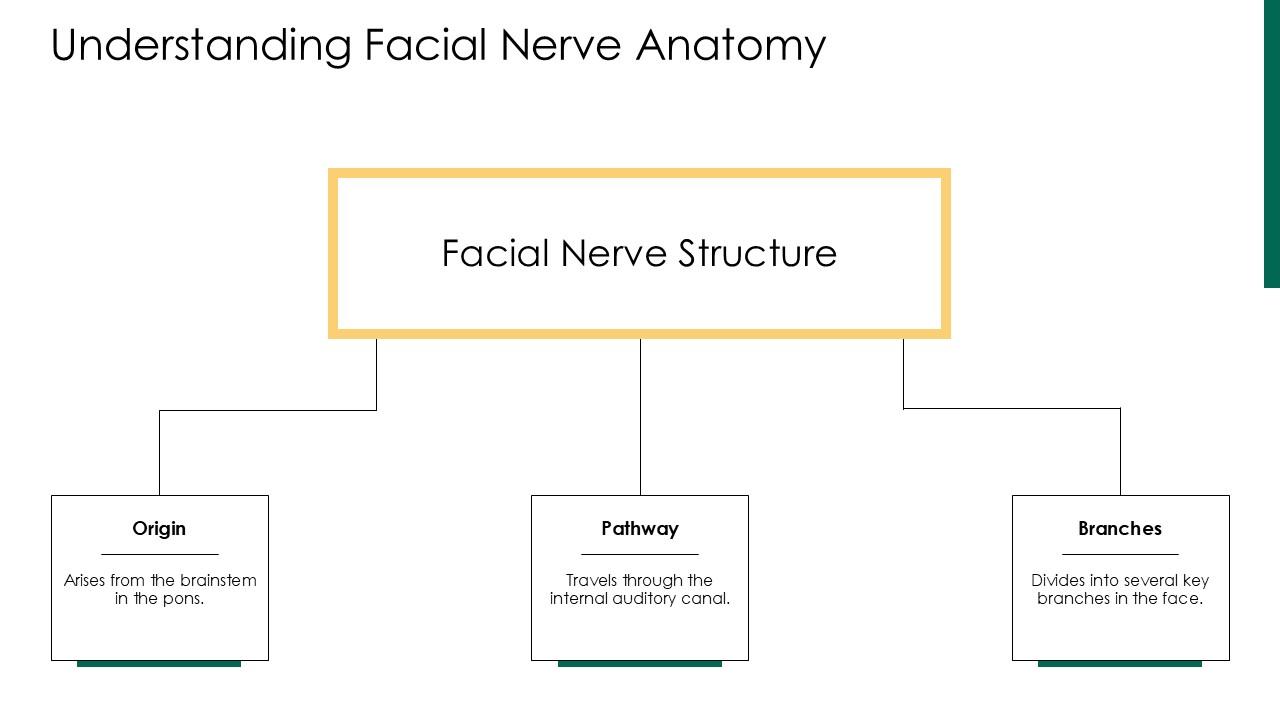 Basilar Artery Facial Nerve Spasm PPT Template ACP PPT PowerPoint