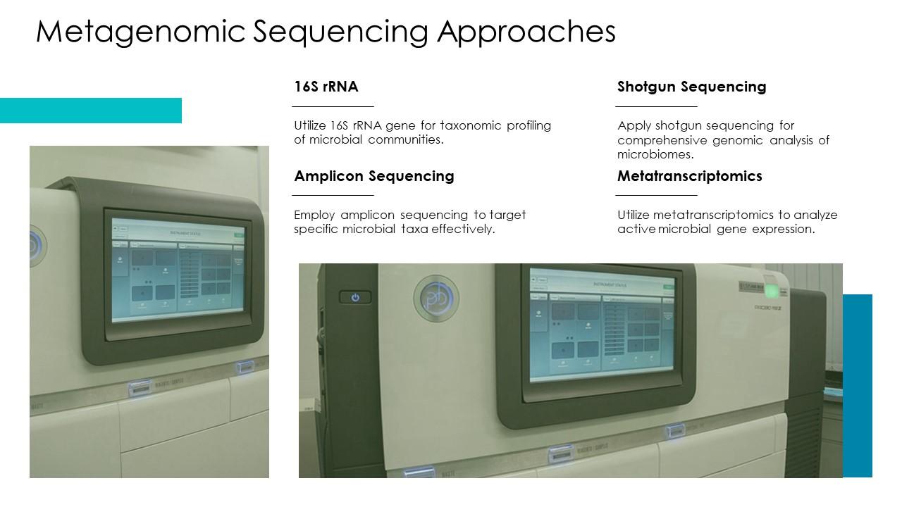 Bioinformatics Pipelines Microbiome Ppt Slides Acp Ppt Template