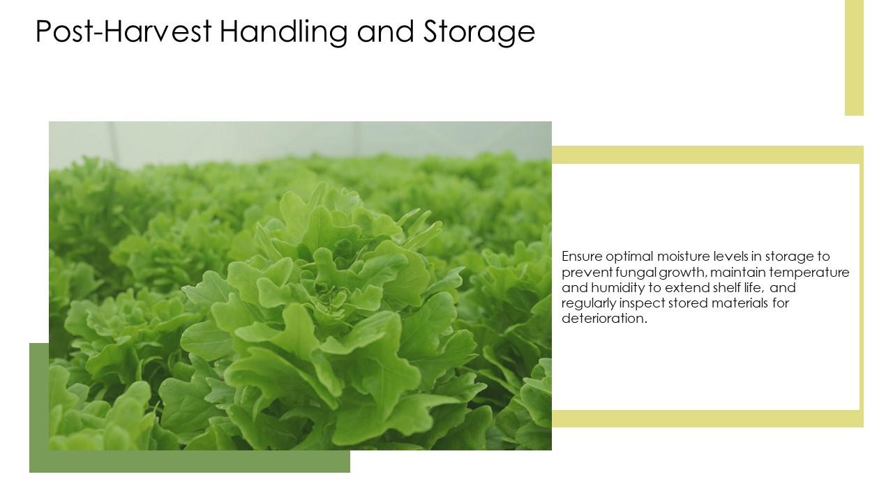 Top 10 Biomass Pyrolysis PowerPoint Presentation Templates in 2025