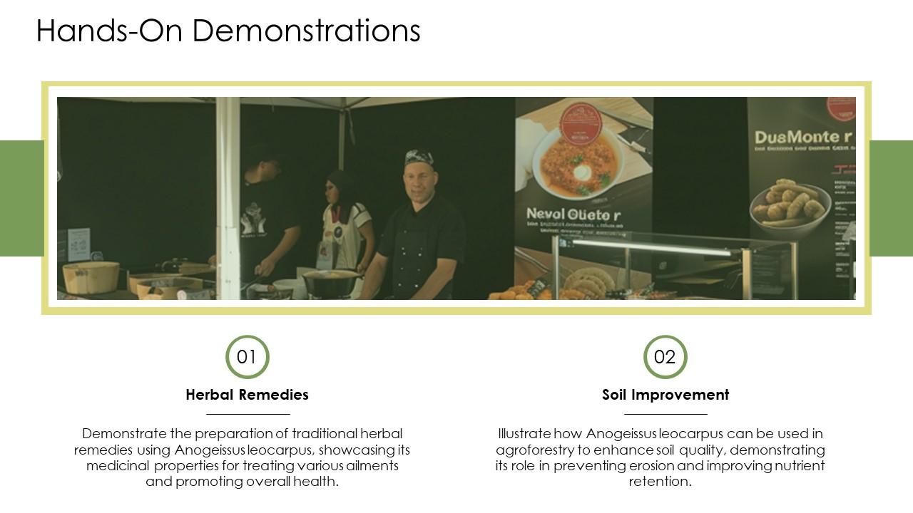 Top 10 Biomass Pyrolysis PowerPoint Presentation Templates in 2025