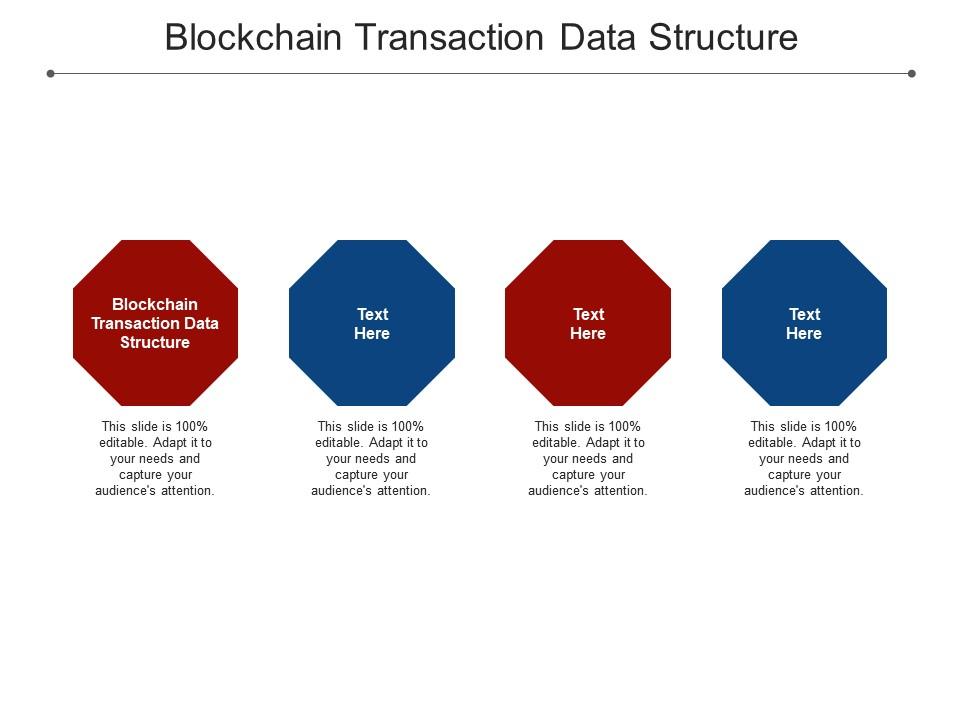 Blockchain Transaction Data Structure Ppt Powerpoint Presentation
