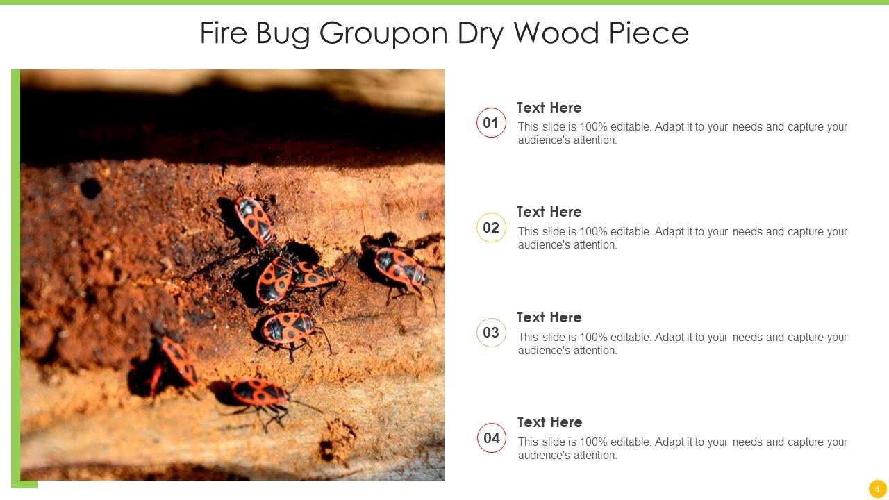 Bug Powerpoint Ppt Template Bundles | Presentation Graphics ...