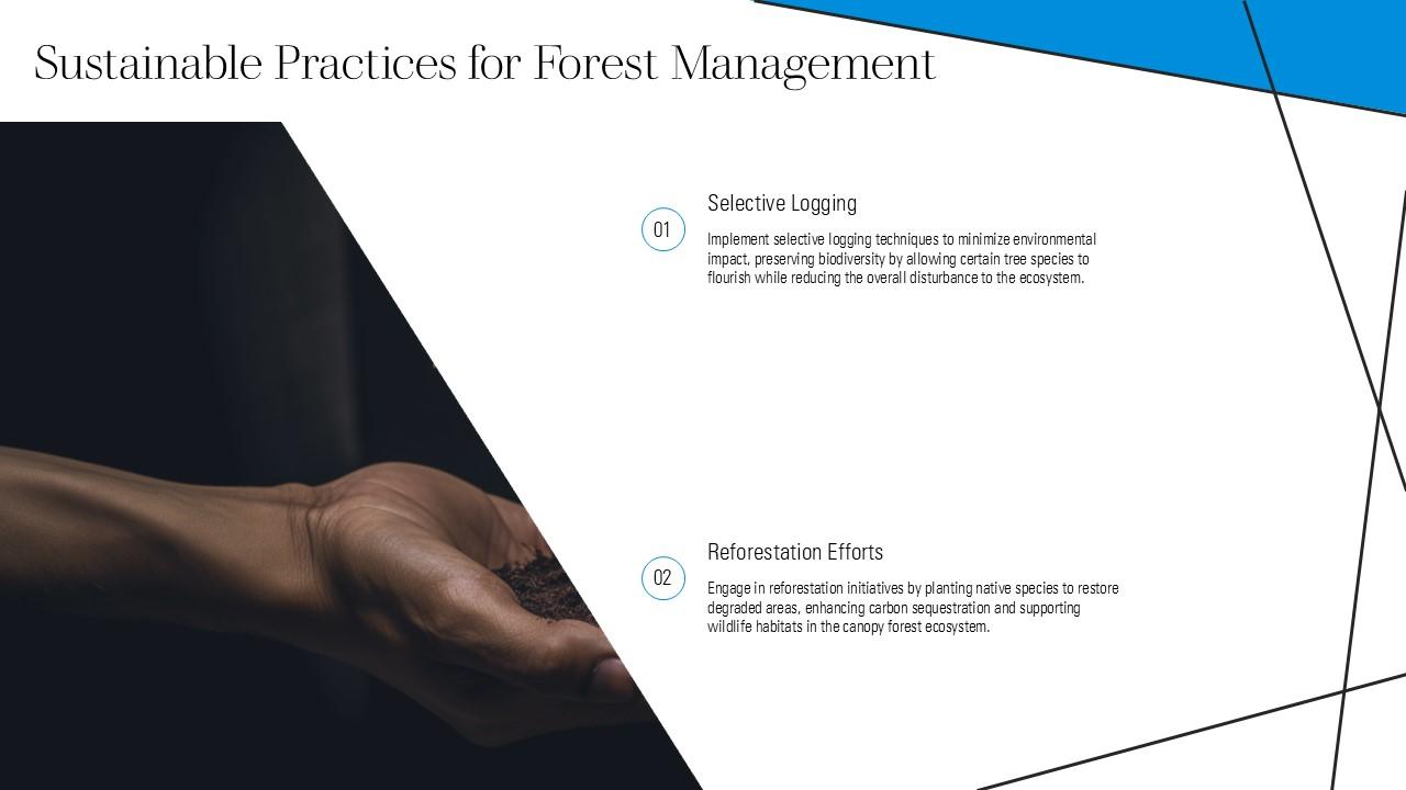 Top 10 Trees Forest Powerpoint Presentation Templates In 2025