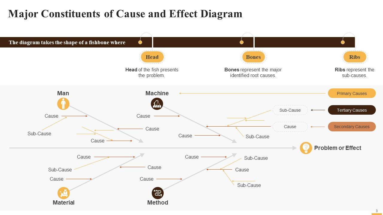 Cause And Effect Diagram For Kaizen Training Ppt PPT Template