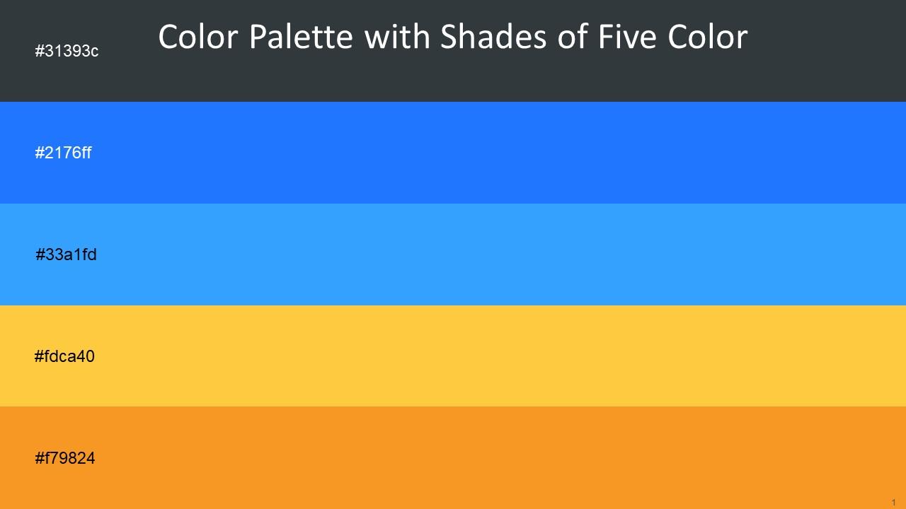 Color Palette With Five Shade Outer Space Dodger Blue Dodger Blue Bright Sun Sea Buckthorn PPT ...
