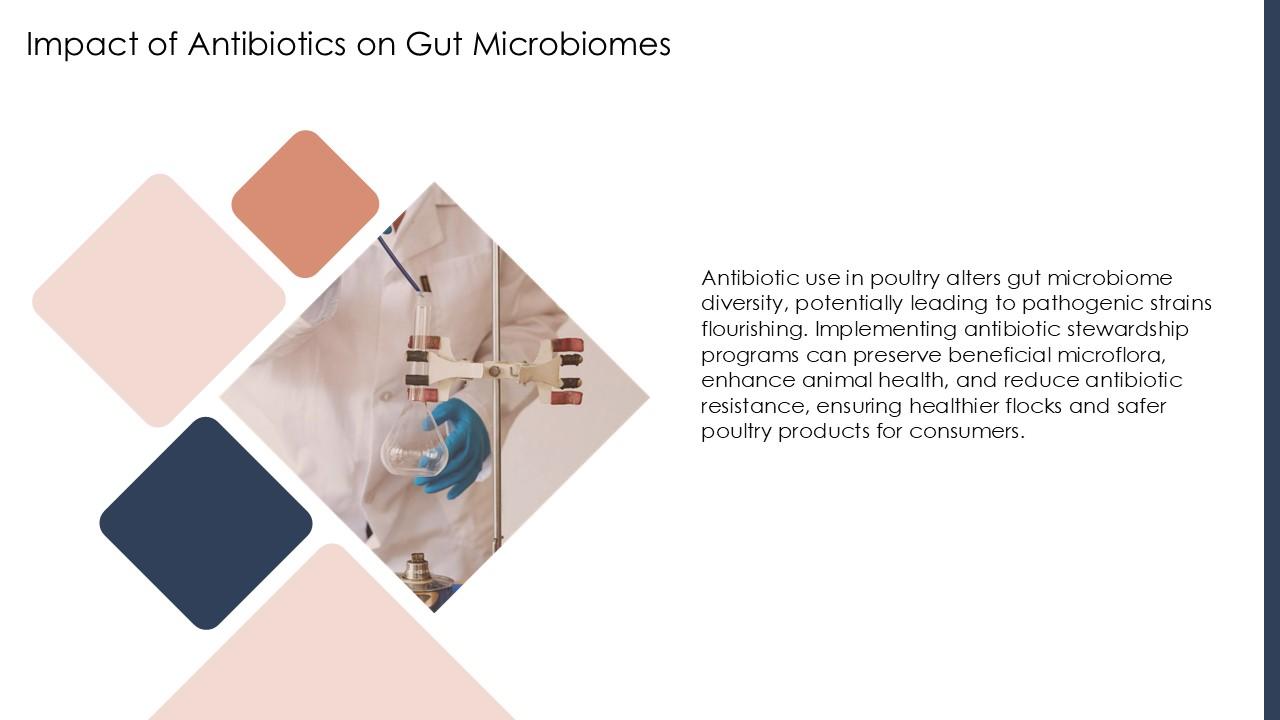 Comparative Genomics Gut Microbiome Poultry PPT Structure ACP PPT Sample