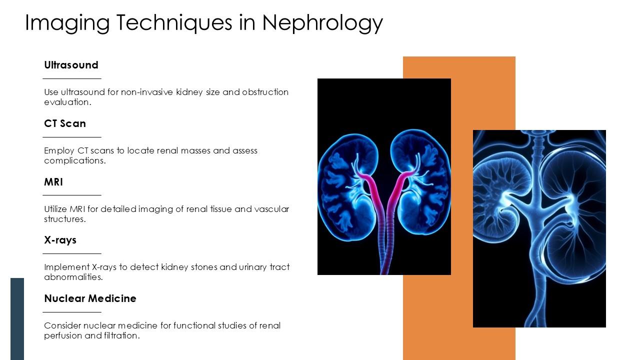 Top 10 Nephrology PowerPoint Presentation Templates in 2026