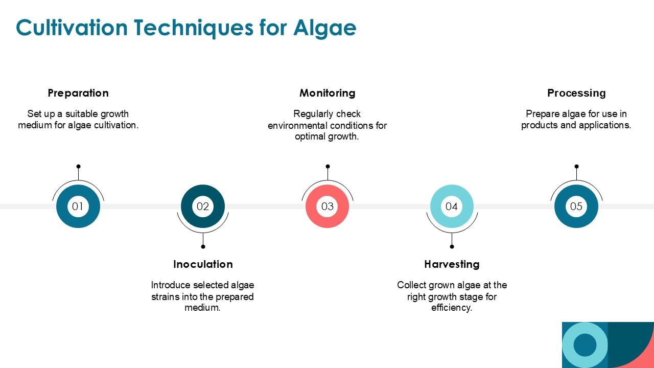 Cultivation Techniques For Algae PPT Designs ACP PPT Example