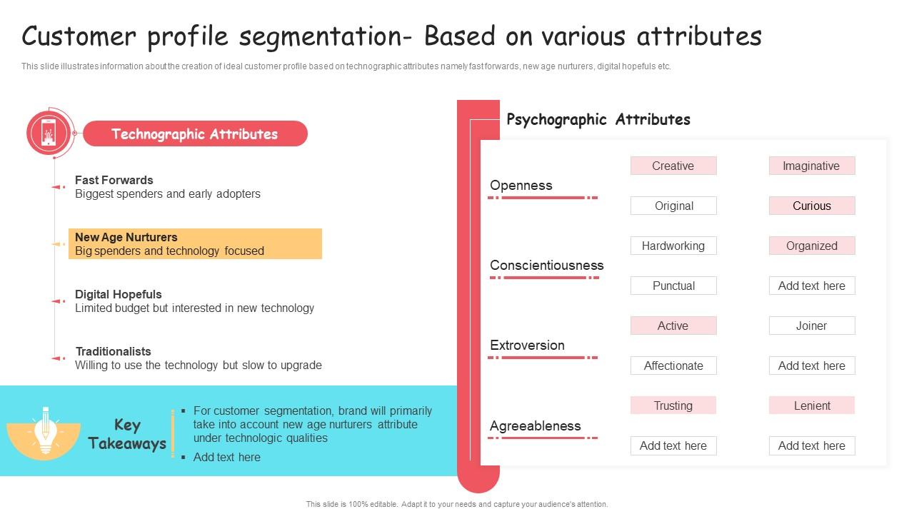 Customer Profile Segmentation Based Brand Extension And Positioning Ppt Information Ppt Sample