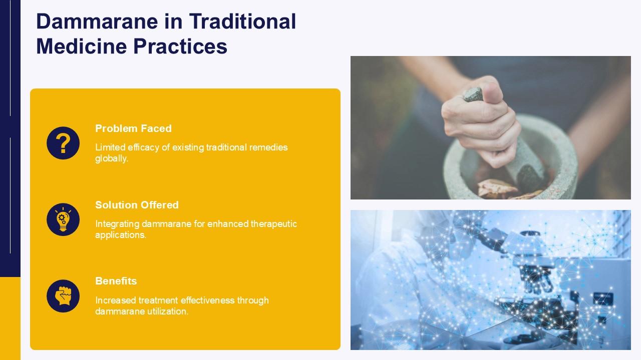 Dammarane In Traditional Medicine Practices PPT Sample ST AI SS PPT ...