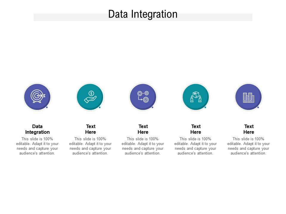 Data Integration Ppt Powerpoint Presentation Infographic Template