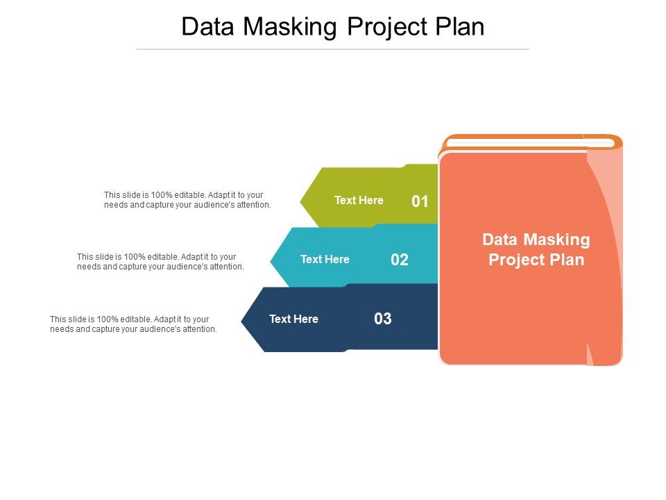 Data Masking Project Plan Ppt Powerpoint Presentation Styles Layouts ...