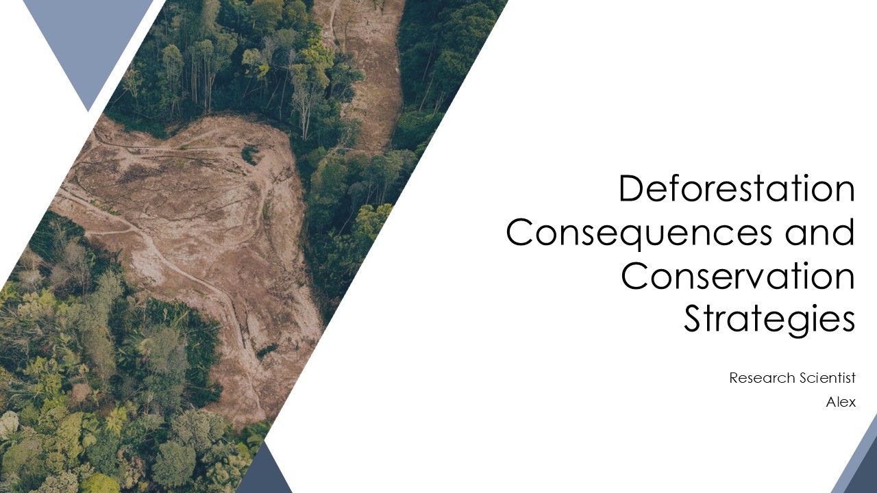 Deforestation Consequences And Conservation Strategies PPT Demonstration AT