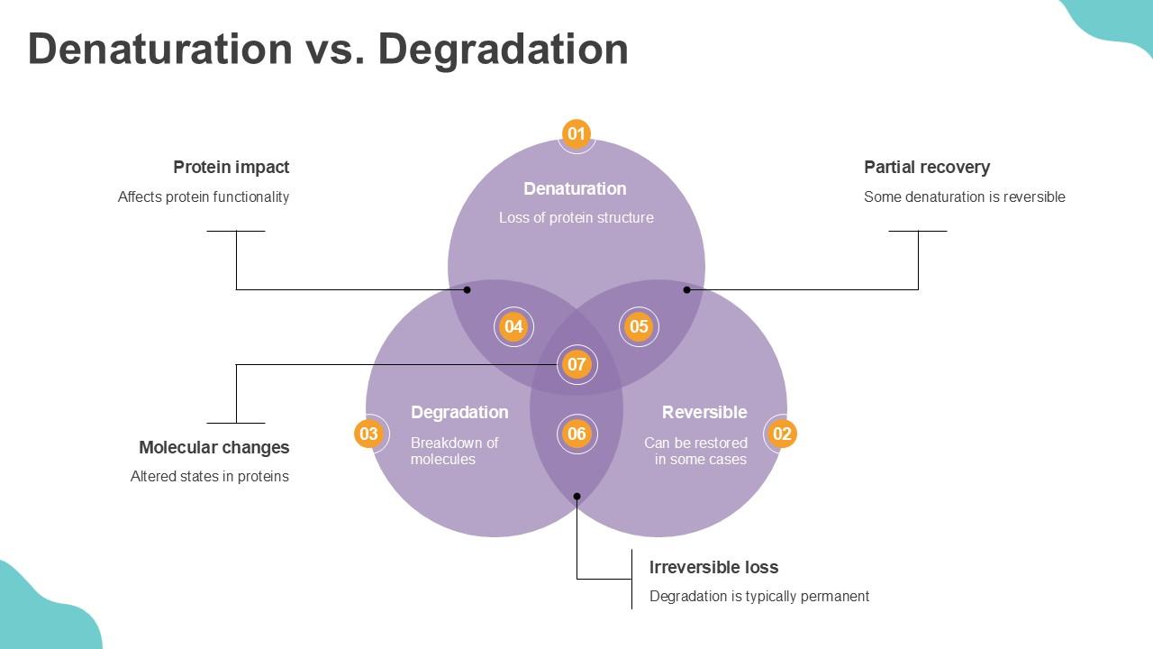 Denaturation Vs Degradation Proteins DNA PPT Sample ACP PPT Presentation