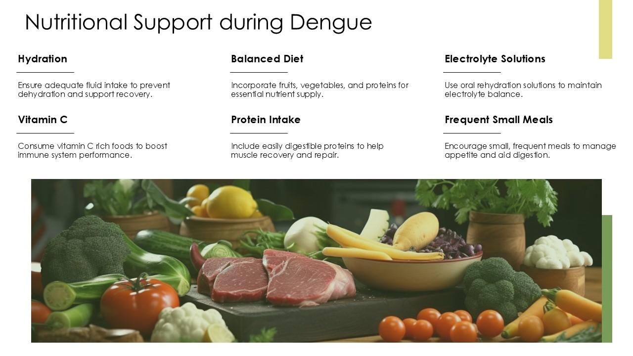 Dengue Cycle PPT PowerPoint ACP PPT Template