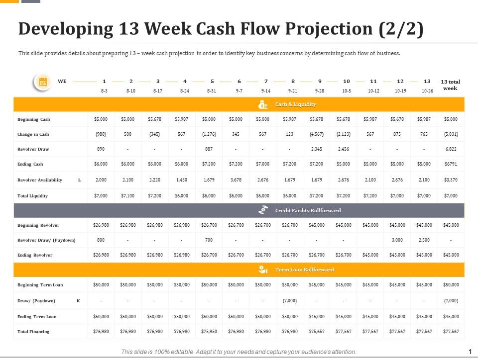 Developing 13 Week Cash Flow Projection Cash Ppt Icon Designs