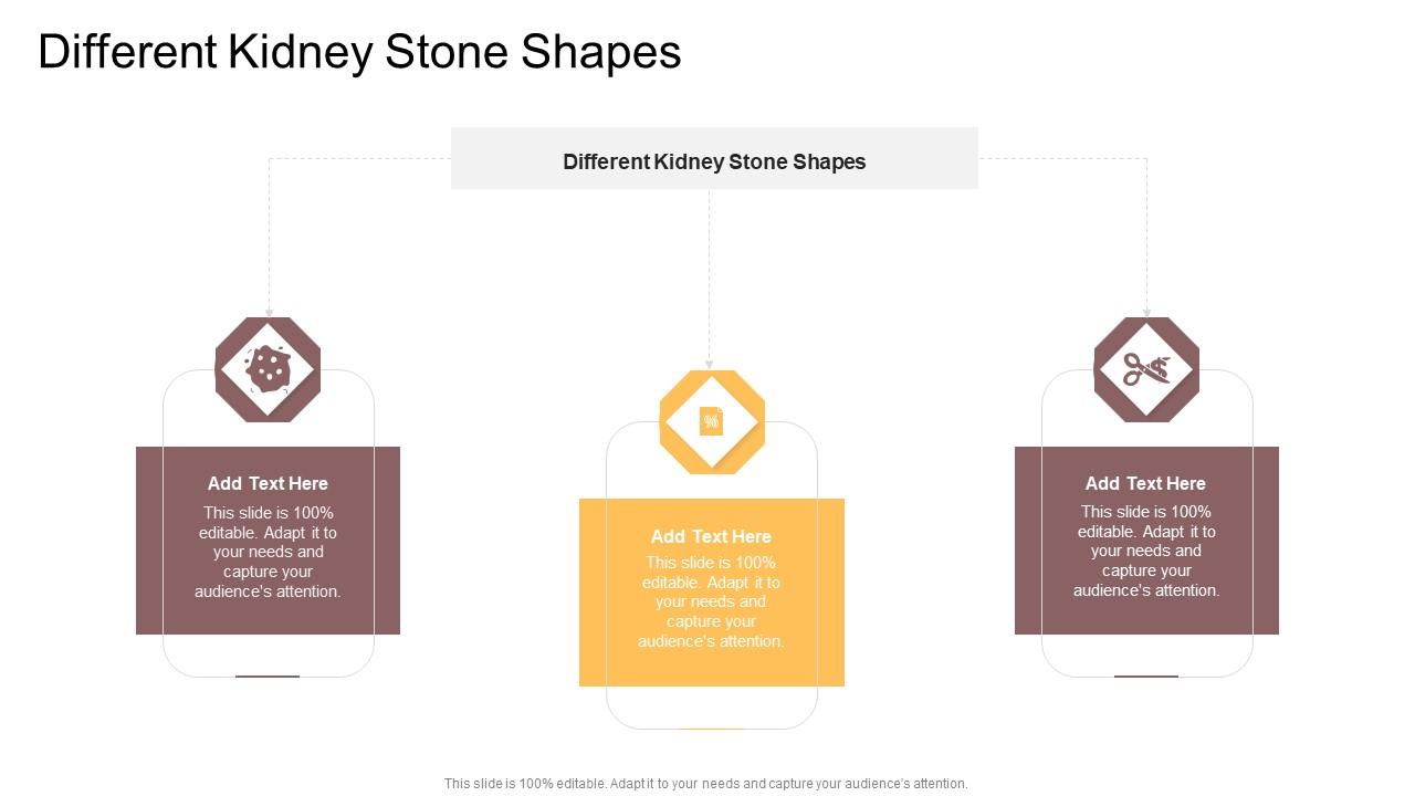 Different Kidney Stone Shapes In Powerpoint And Google Slides Cpb PPT Sample