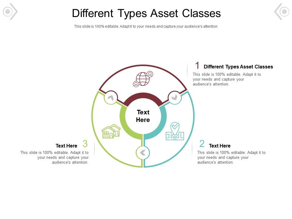 Different Types Asset Classes Ppt Powerpoint Presentation Gallery