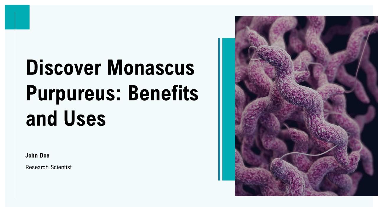 Discover Monascus Purpureus Benefits And Uses PPT PowerPoint ST AI PPT ...