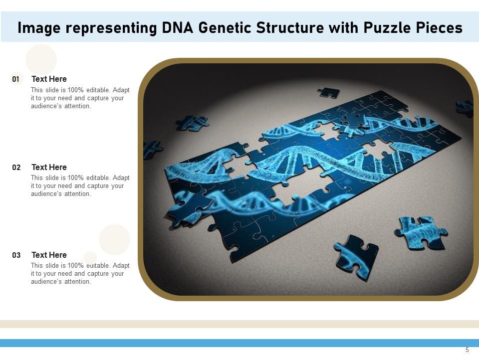 DNA Molecular Structure Representation Practitioner Performing ...