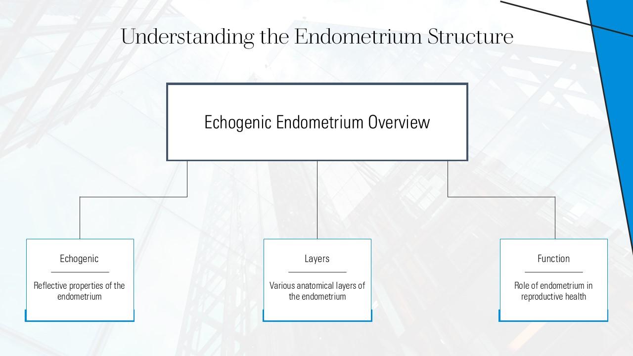 Echogenic Endometrium PPT Sample ACP PPT Presentation