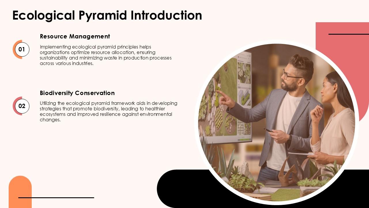 Ecological Pyramid Introduction PPT Outline ACP PPT Slide