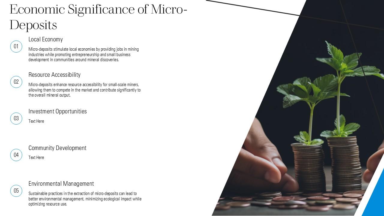 Economic Significance Of Micro Deposits PPT Example ST AI SS PPT ...
