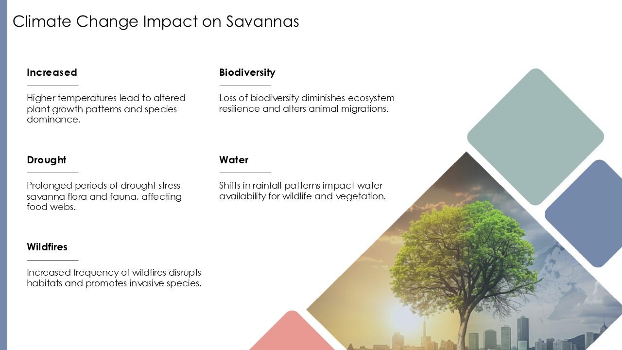 Top 10 Savanna PowerPoint Presentation Templates in 2026