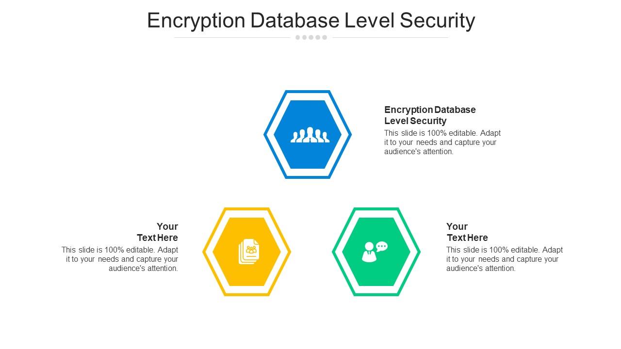 Encryption Database Level Security Ppt Powerpoint Presentation Outline